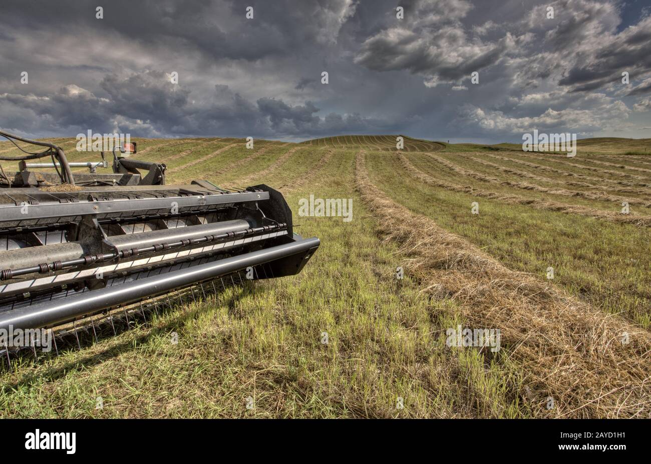 Agri way hi-res stock photography and images - Alamy