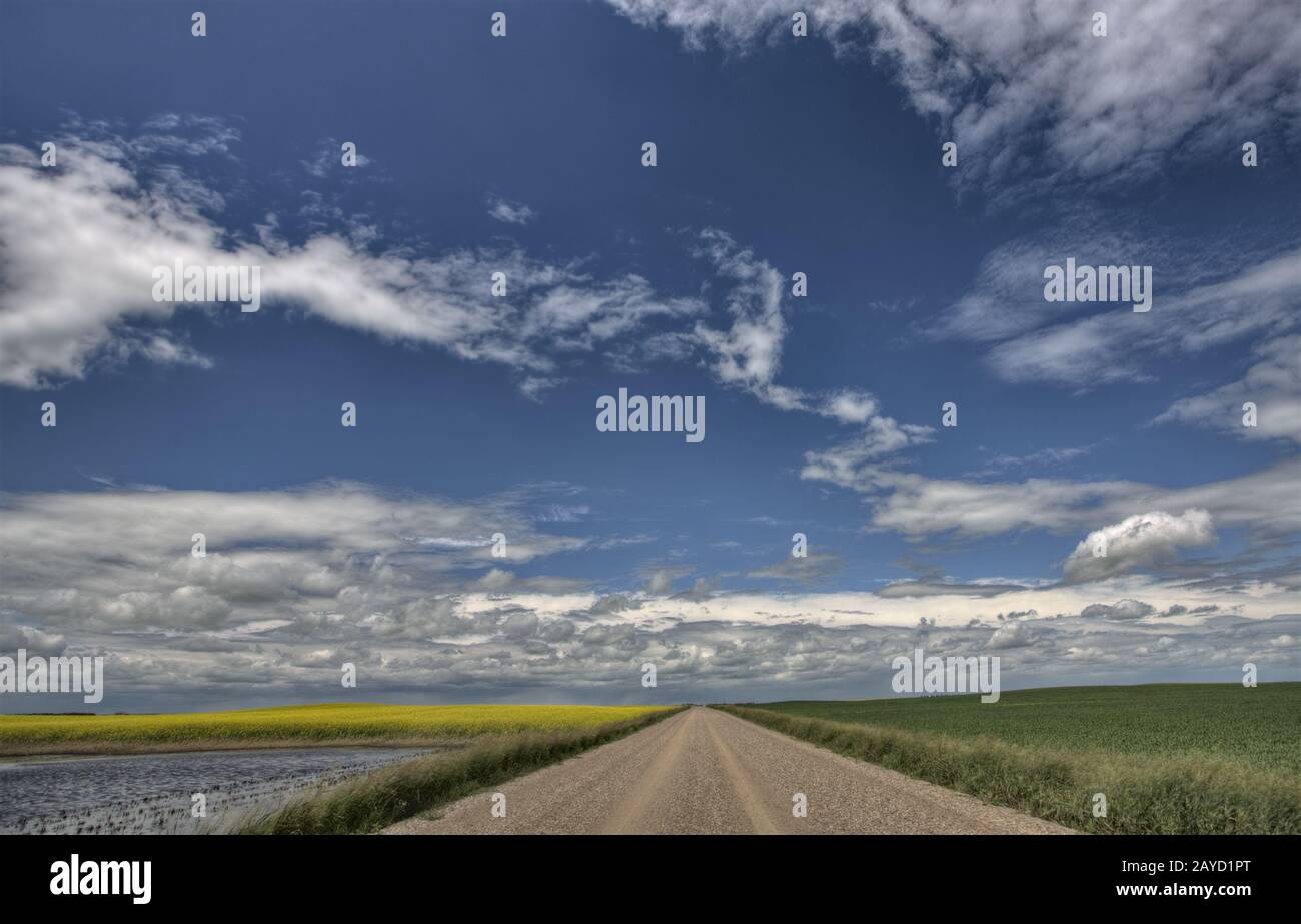 Canadian prairie farm house hi-res stock photography and images - Alamy