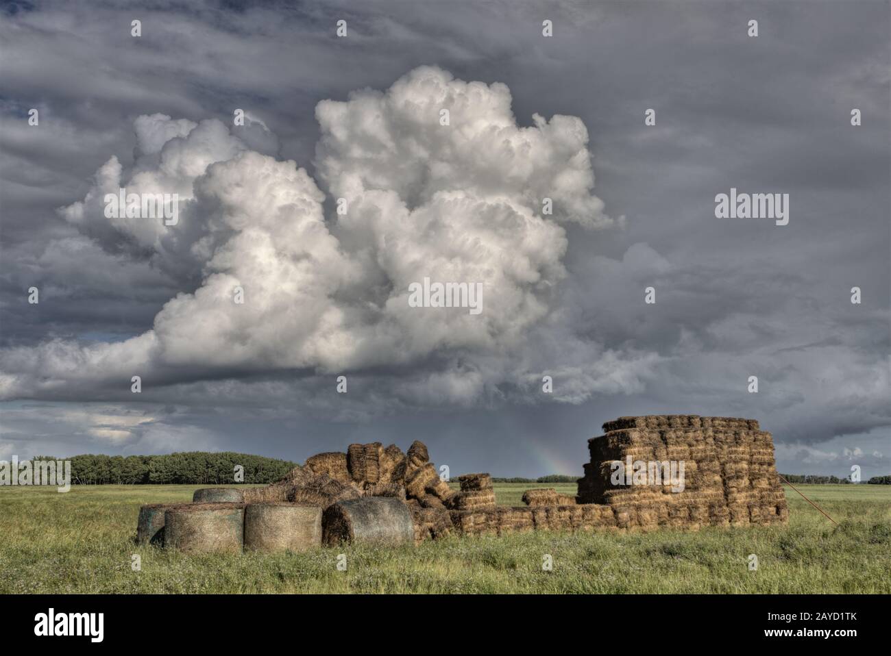 Canadian prairie farm house hi-res stock photography and images - Alamy