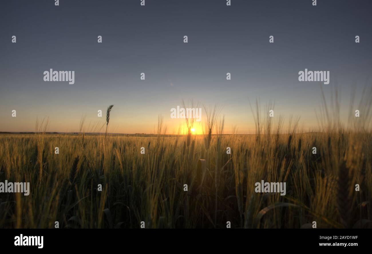 Sunrise clear sky prairie hi-res stock photography and images - Alamy