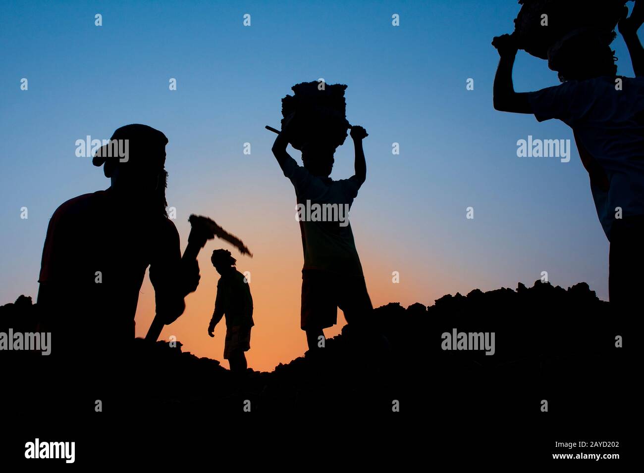 A day labourer carries a basket of soil on his head. Khulna, Bangladesh ...