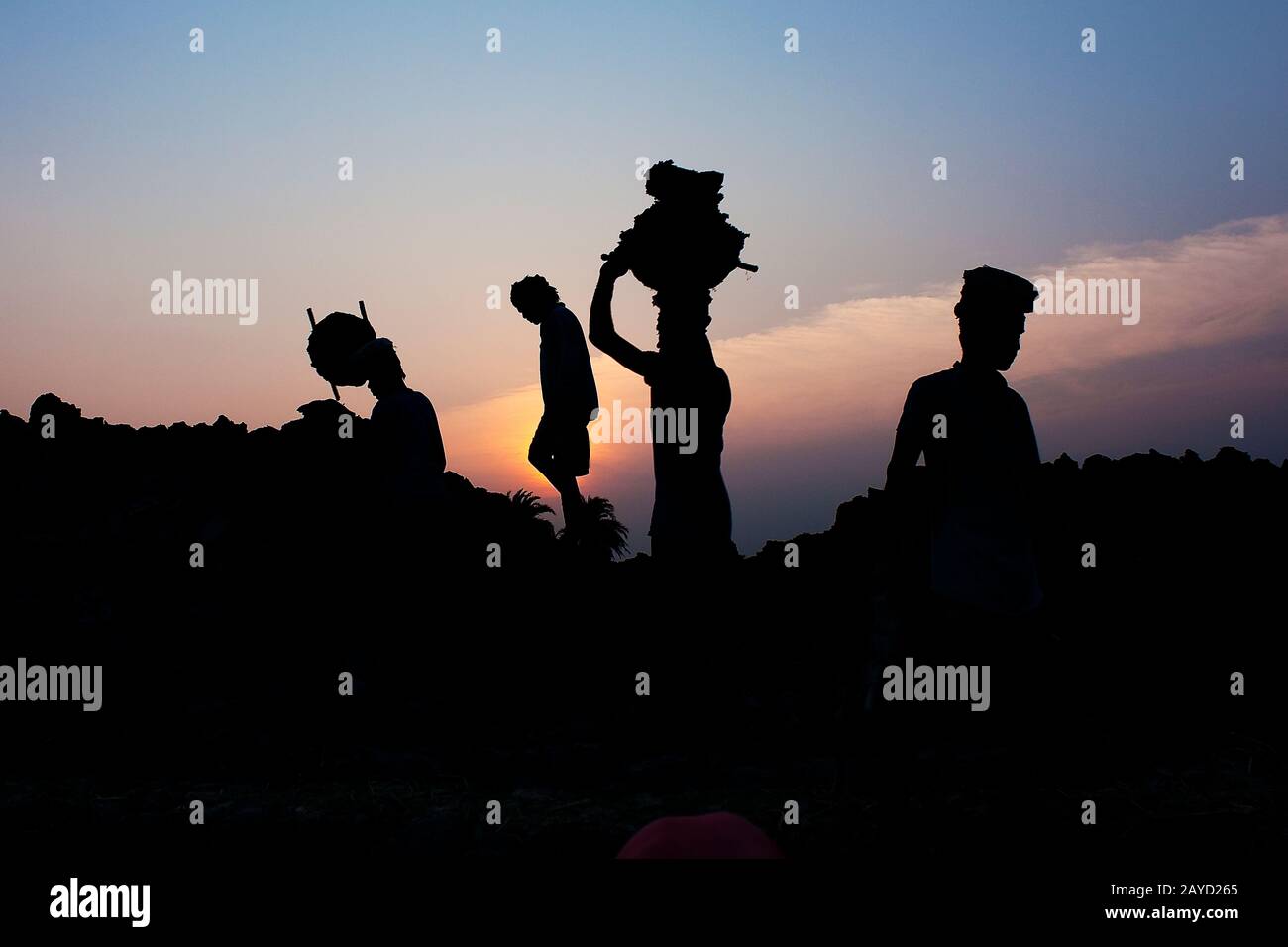 A day labourer carries a basket of soil on his head. Khulna, Bangladesh ...