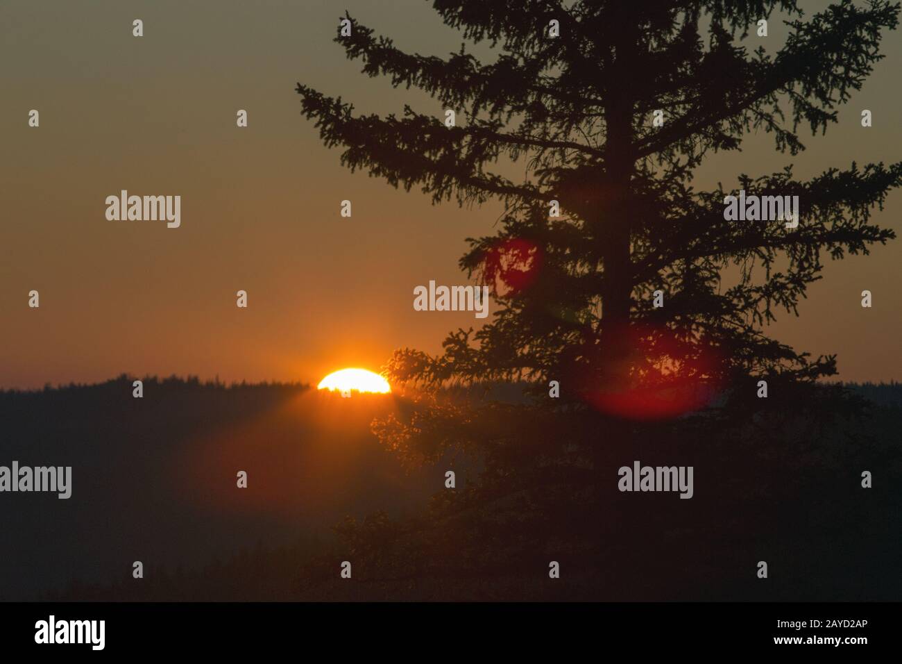 Sunset cypress hi-res stock photography and images - Alamy