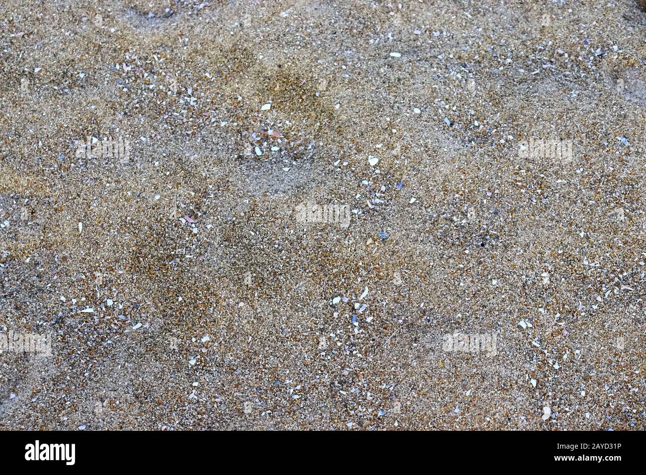 Beautiful Sand background. Close-up of big sand texture and background ...