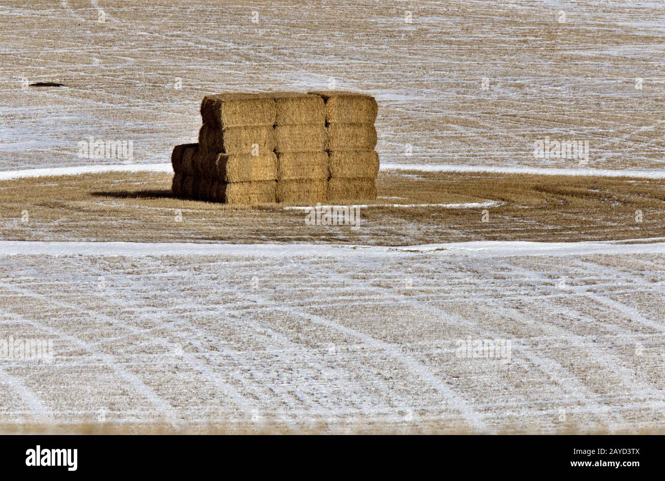 Hay in field hi-res stock photography and images - Alamy