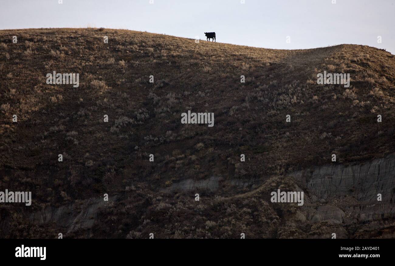 Big muddy badlands saskatchewan hi-res stock photography and images - Alamy