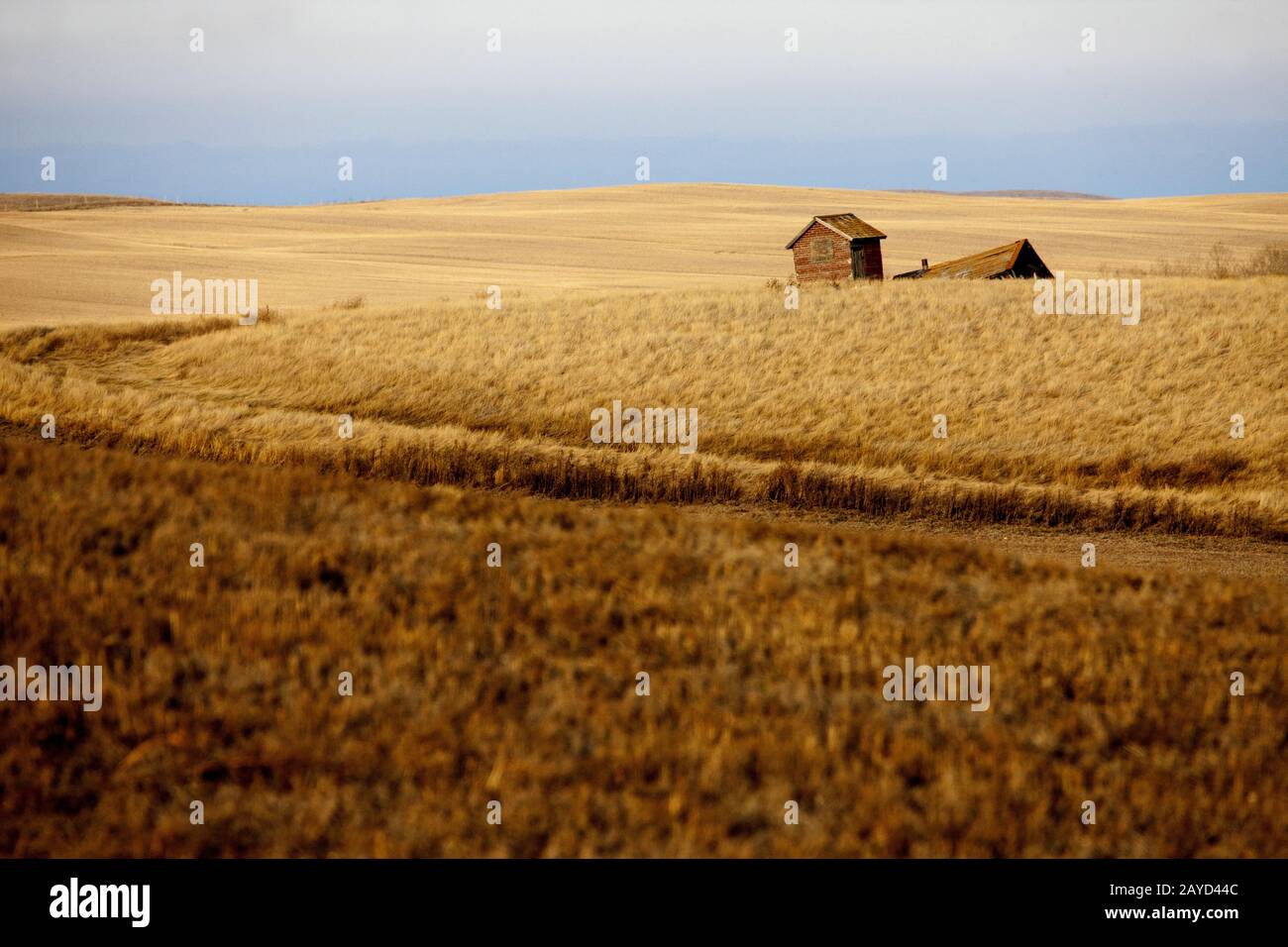 Abandoned Buildings Saskatchewan Stock Photo - Alamy