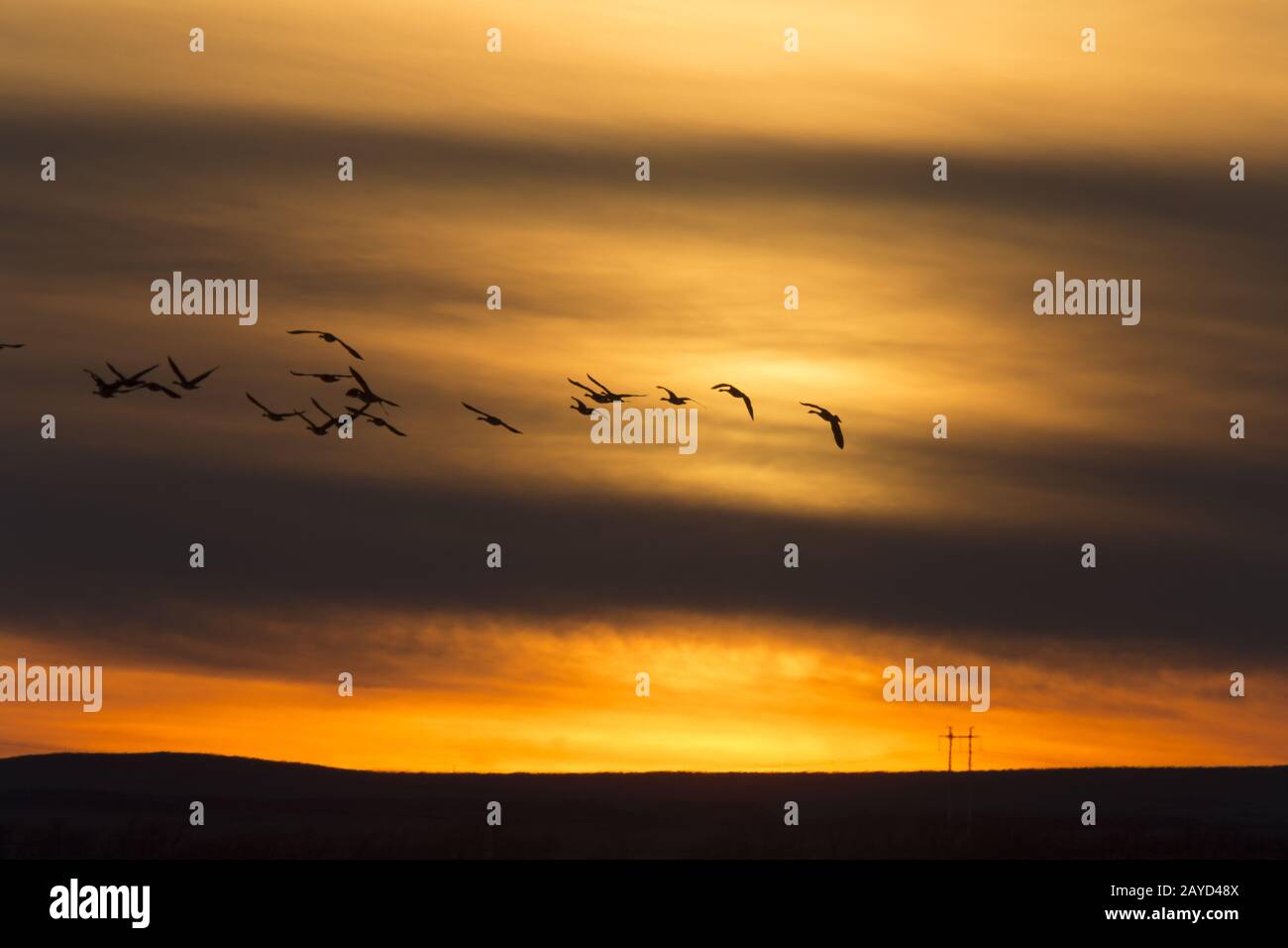 In flight sunset hi-res stock photography and images - Alamy
