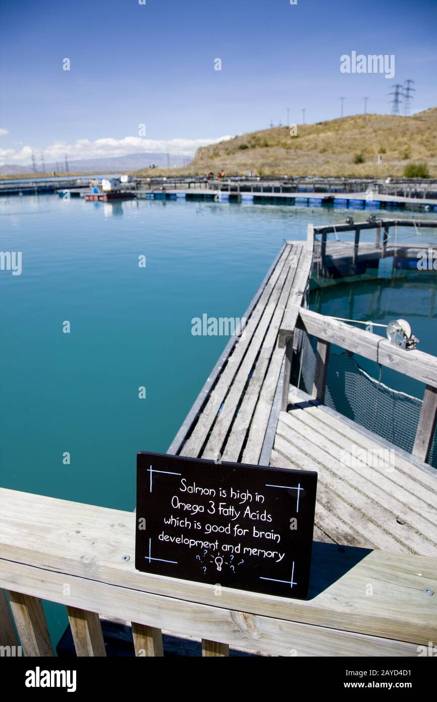 Lake Benmore Salmon Farm Stock Photo - Alamy