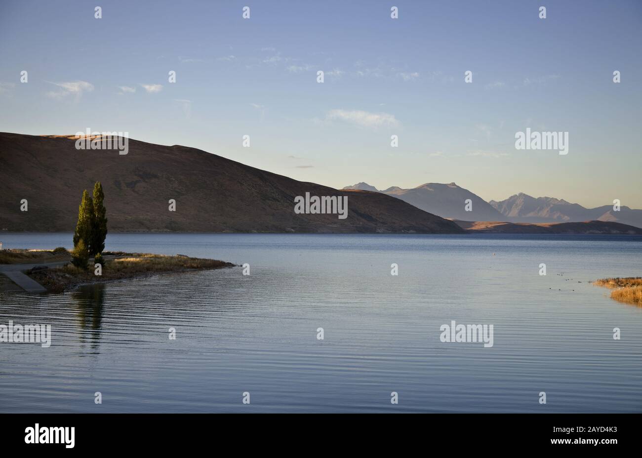 Lake Tekapo New Zealand Stock Photo - Alamy