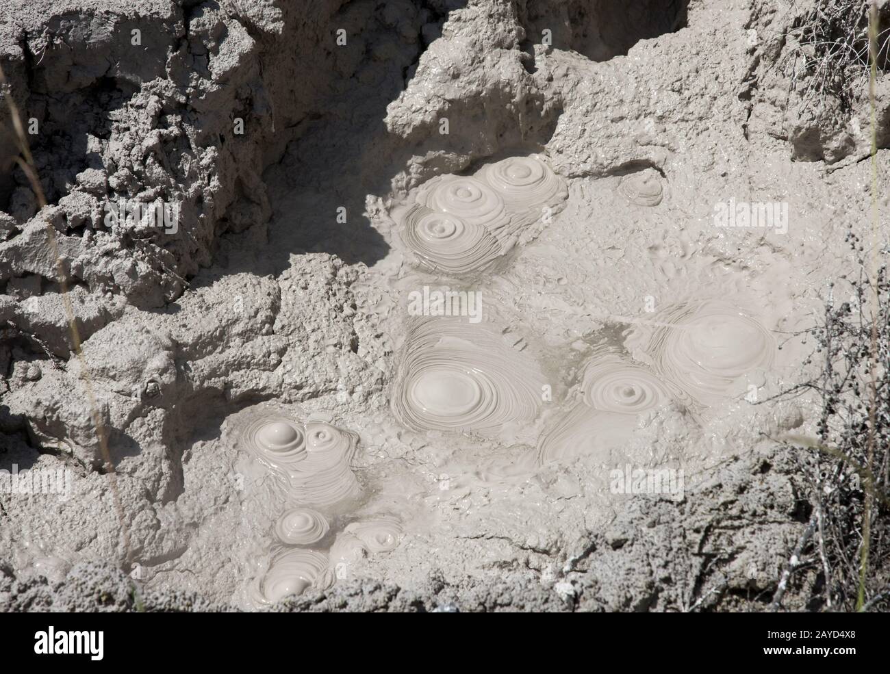 Rotorua bubbling mud hi-res stock photography and images - Alamy
