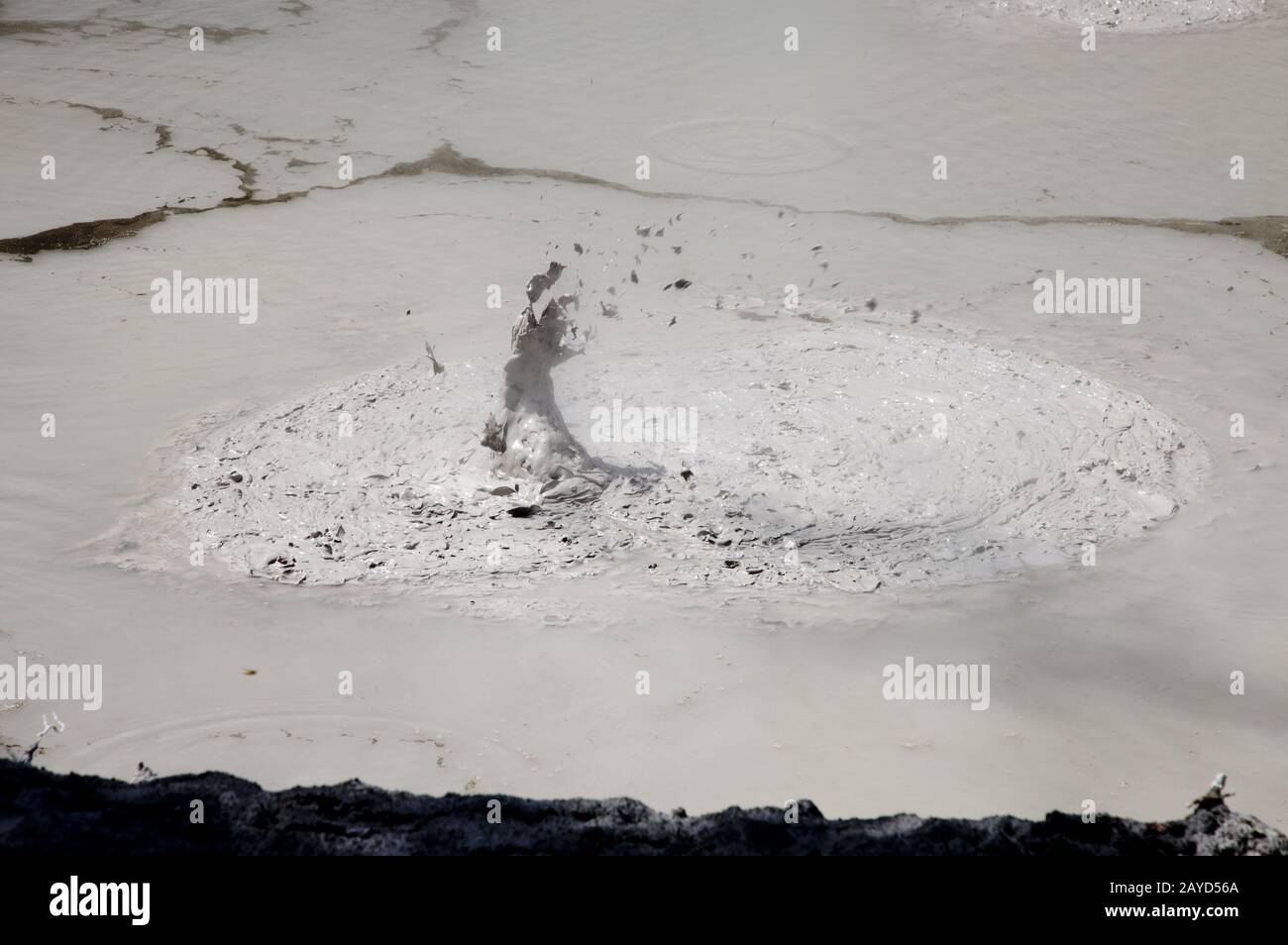 Rotorua Mud Pools Stock Photo - Alamy