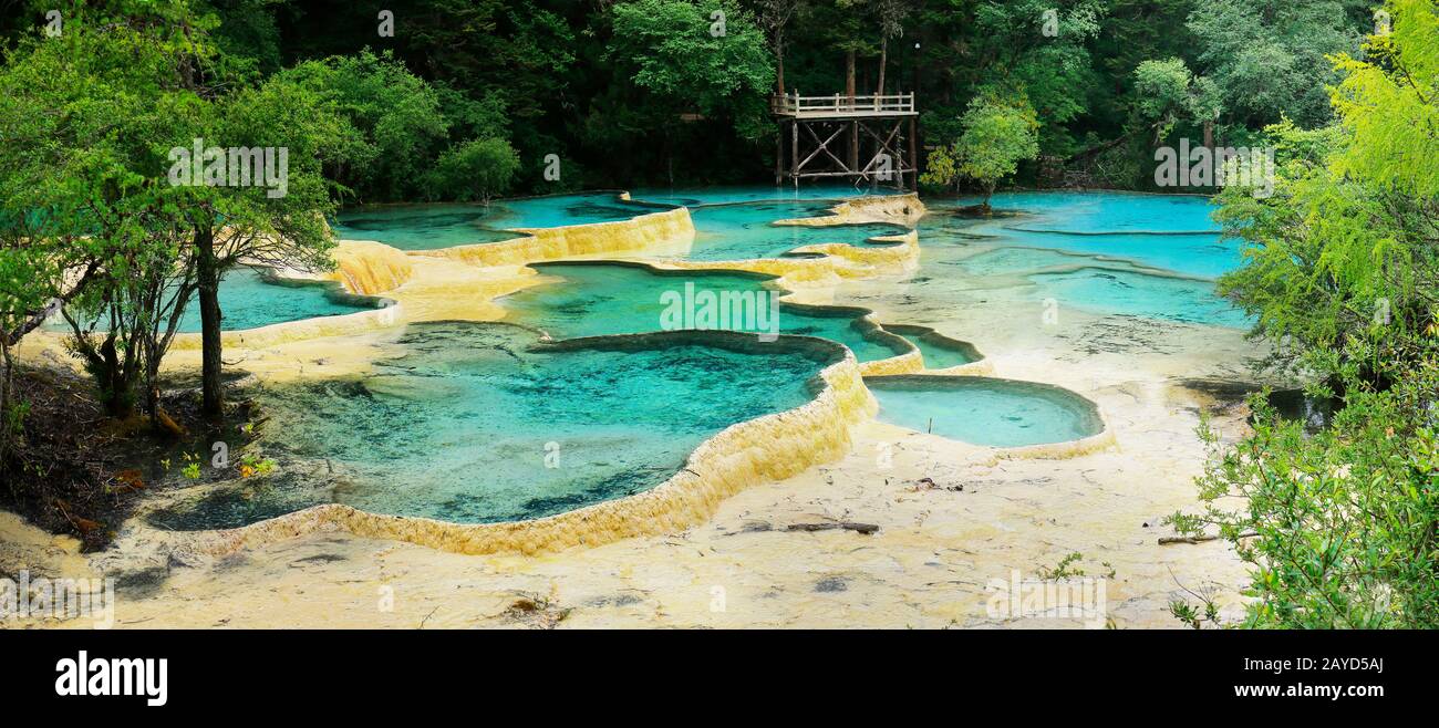 Calcification pool hi-res stock photography and images - Alamy