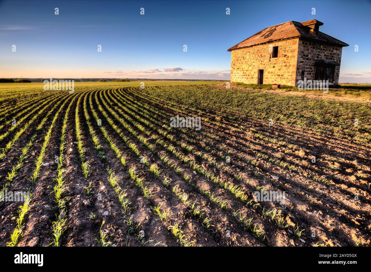 Saskatchewan farm hi-res stock photography and images - Alamy