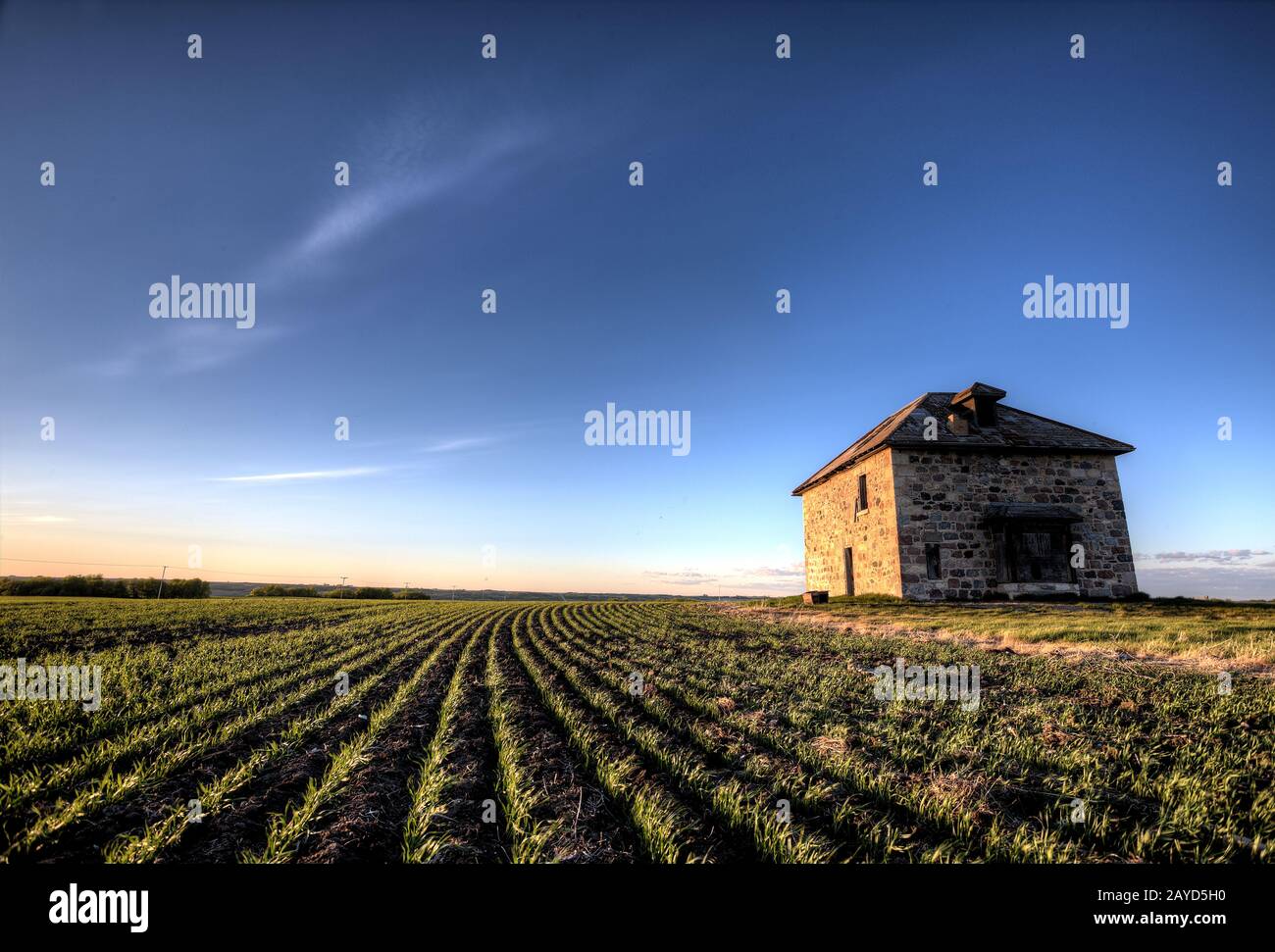 Sunset Light Saskatchewan Farm Stock Photo - Alamy