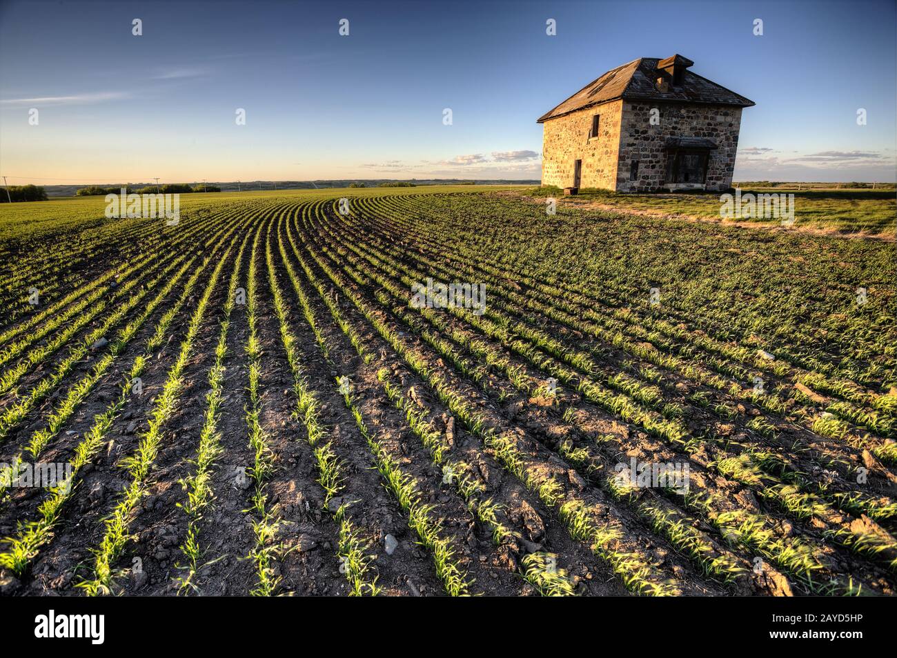Saskatchewan farm hi-res stock photography and images - Alamy
