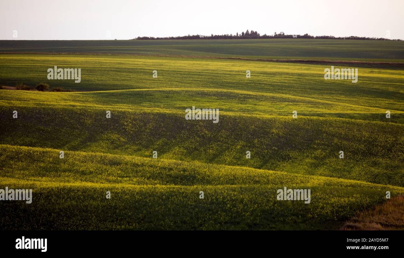 Prairie Scene Saskatchewan Stock Photo - Alamy