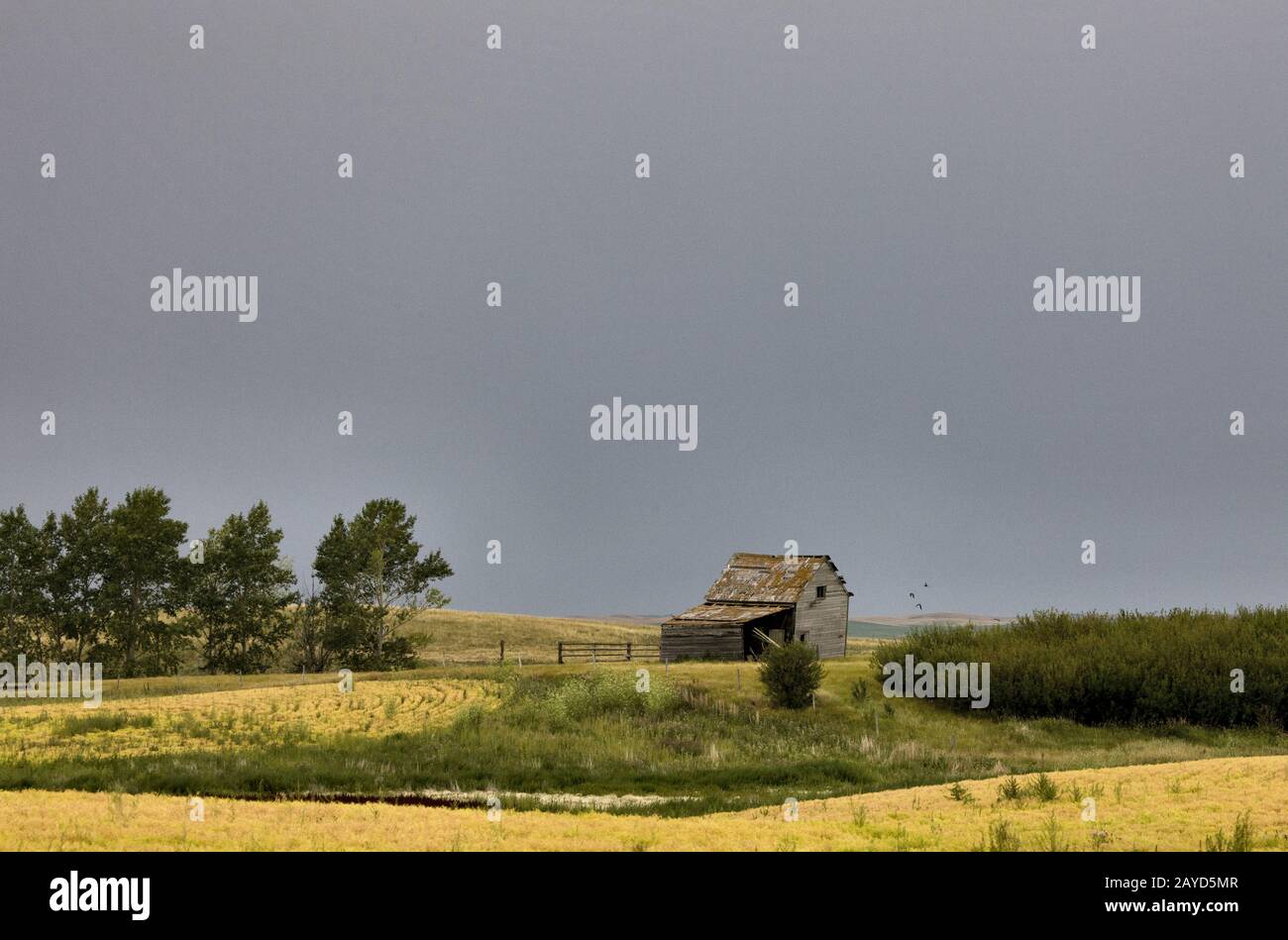 Prairie Scene Saskatchewan Stock Photo - Alamy