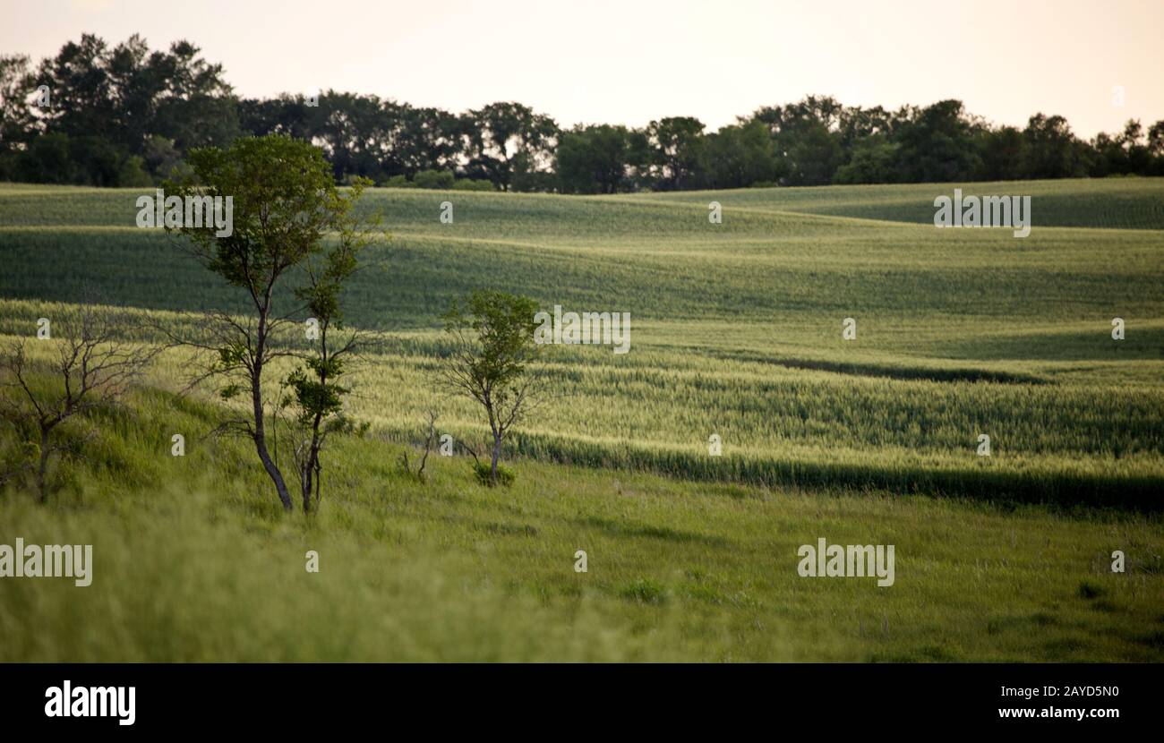 Prairie Scene Saskatchewan Stock Photo - Alamy