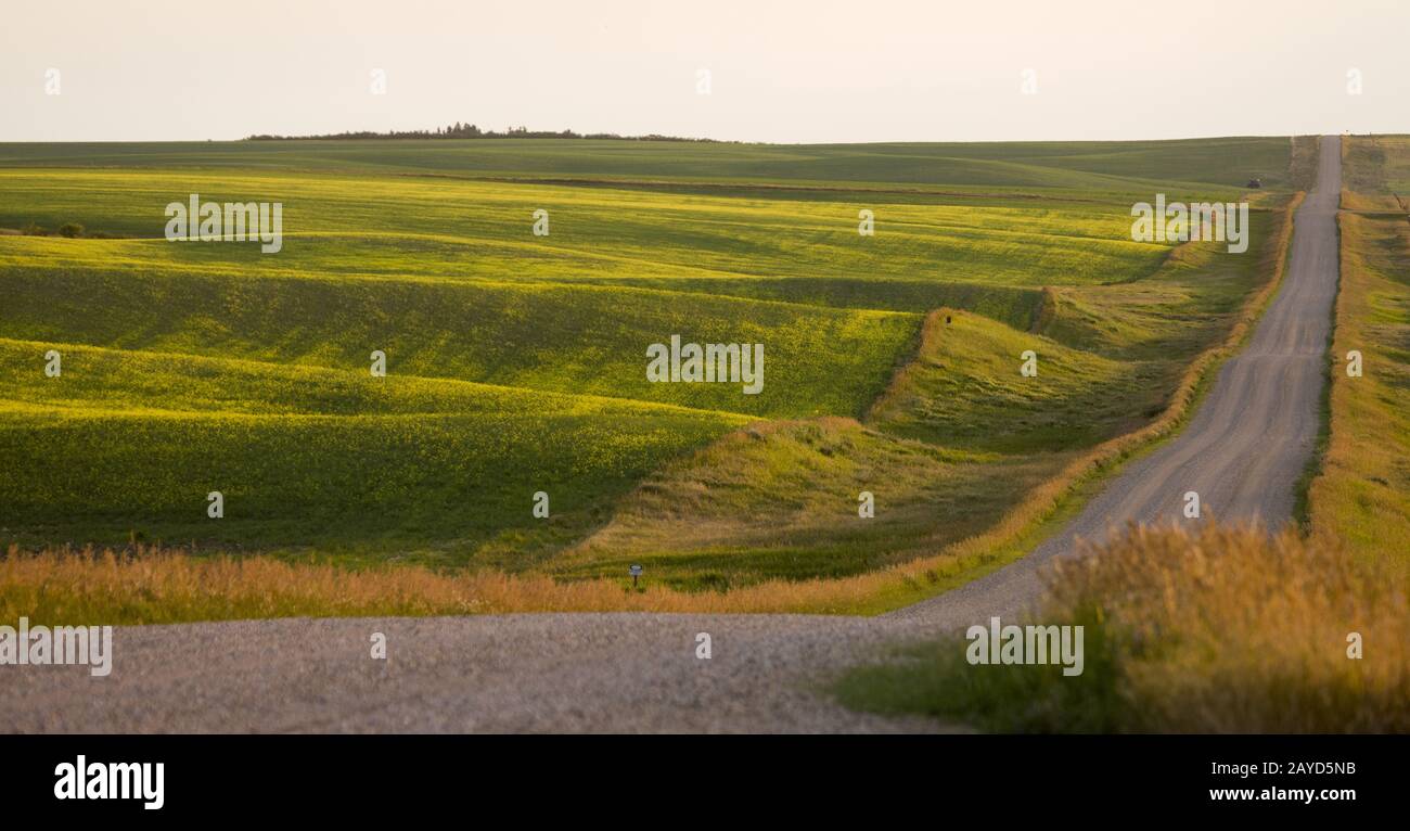 Prairie scene hi-res stock photography and images - Alamy