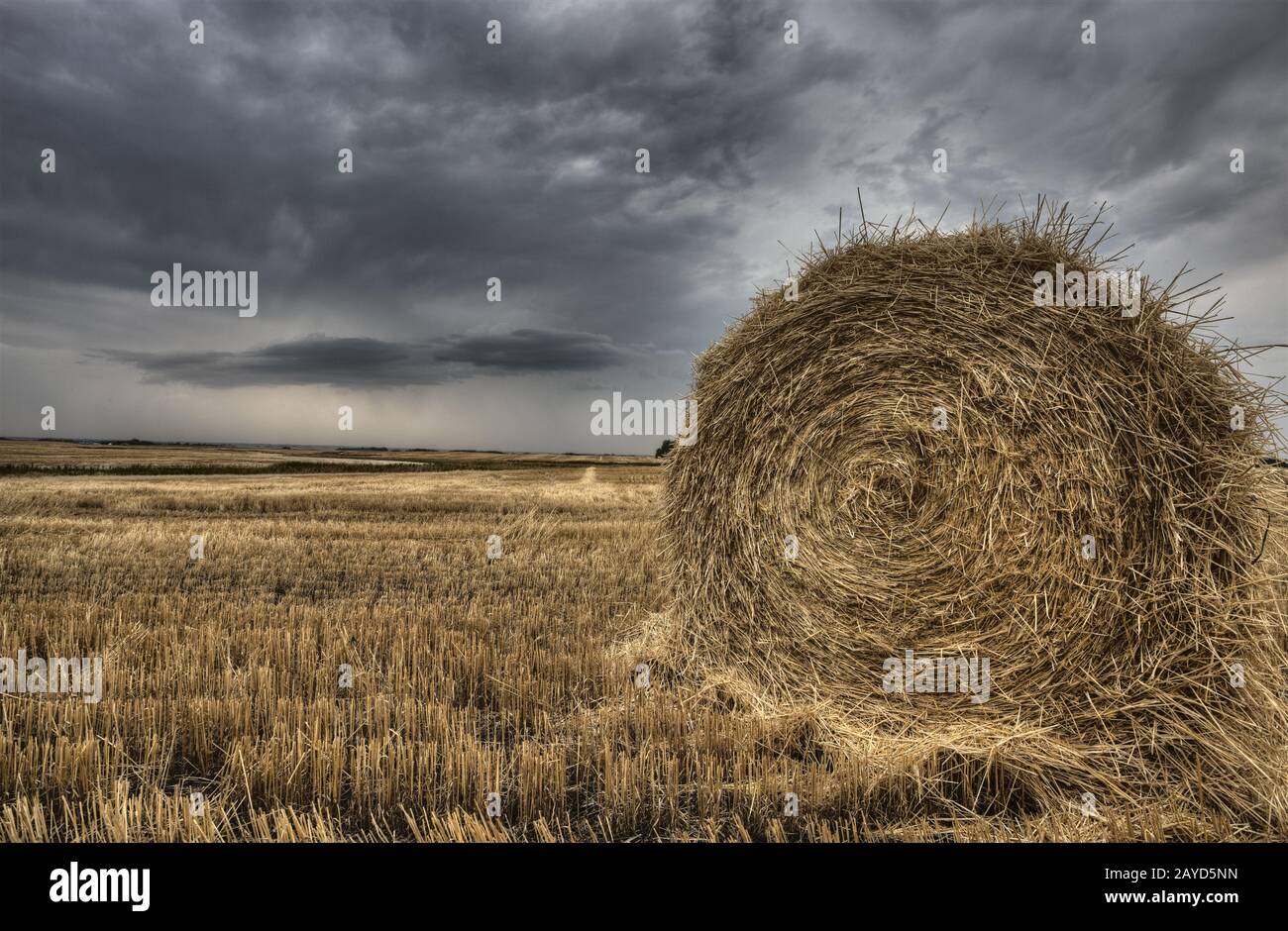 Prairie Scene Saskatchewan Stock Photo - Alamy