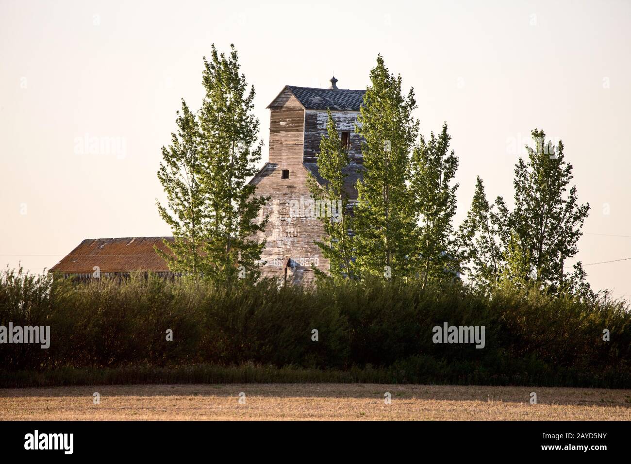 Grain Elevator Saskatchewan Stock Photo - Alamy