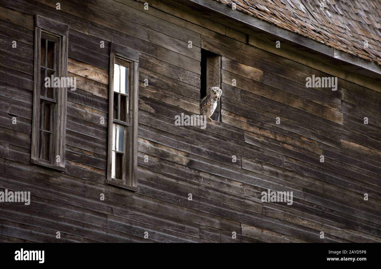 Prairie Barn Saskatchewan Stock Photo - Alamy