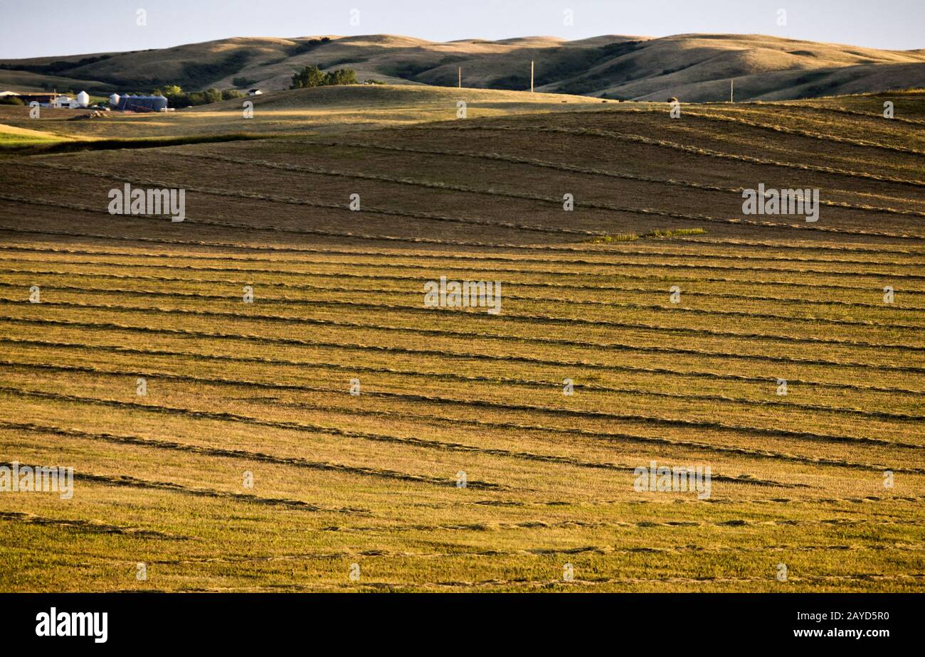 Prairie Scene Saskatchewan Stock Photo - Alamy
