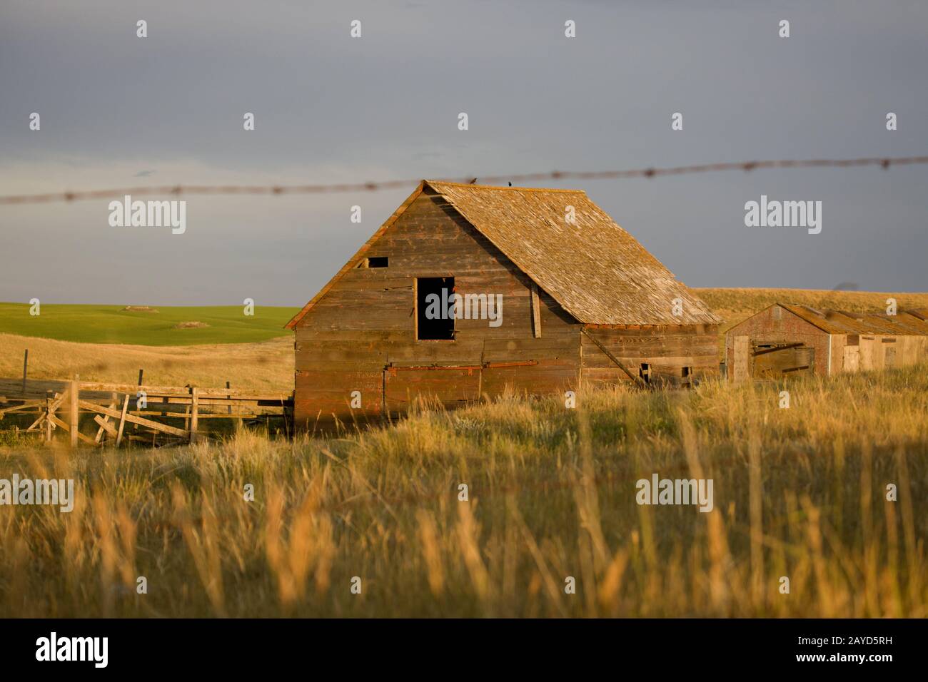 Prairie Barn Saskatchewan Stock Photo - Alamy