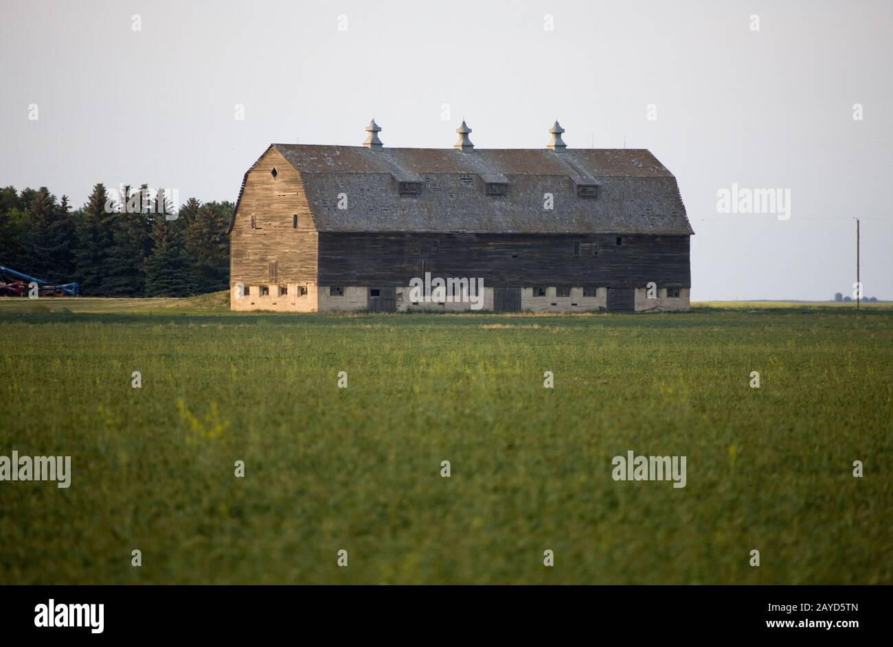 Abandoned barn saskatchewan hi-res stock photography and images - Alamy
