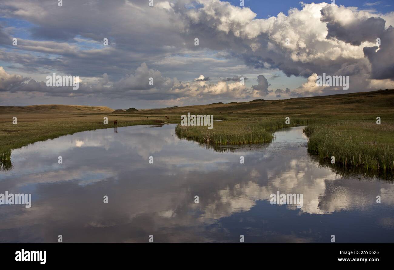 Prairie Scene Saskatchewan Stock Photo - Alamy