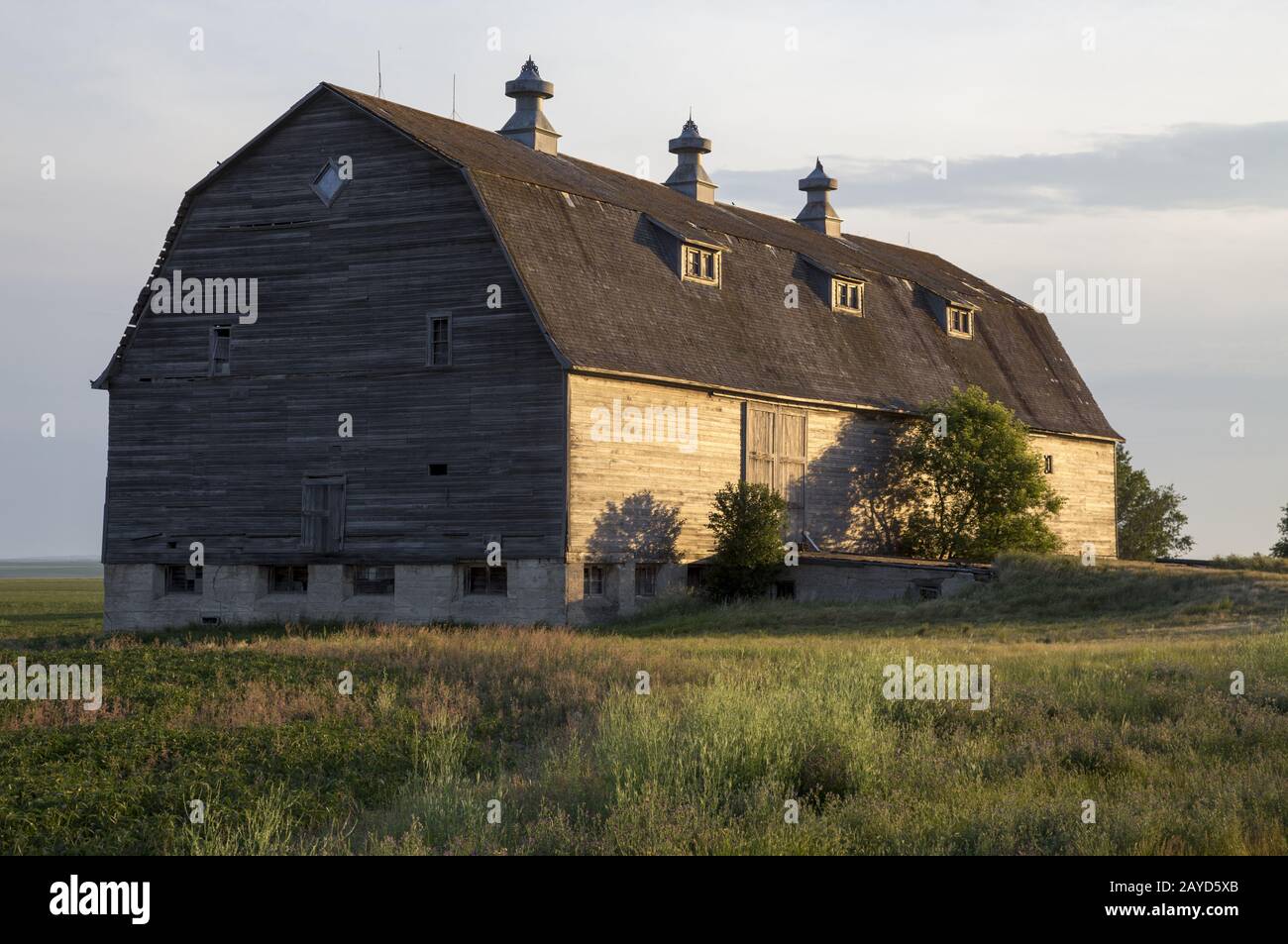 Prairie Barn Saskatchewan Stock Photo - Alamy