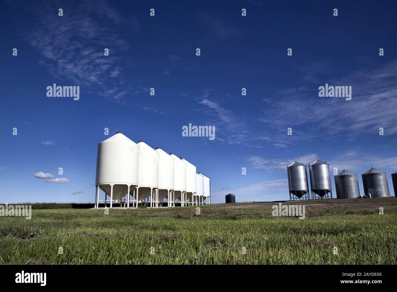 Prairie Scene Saskatchewan Stock Photo - Alamy