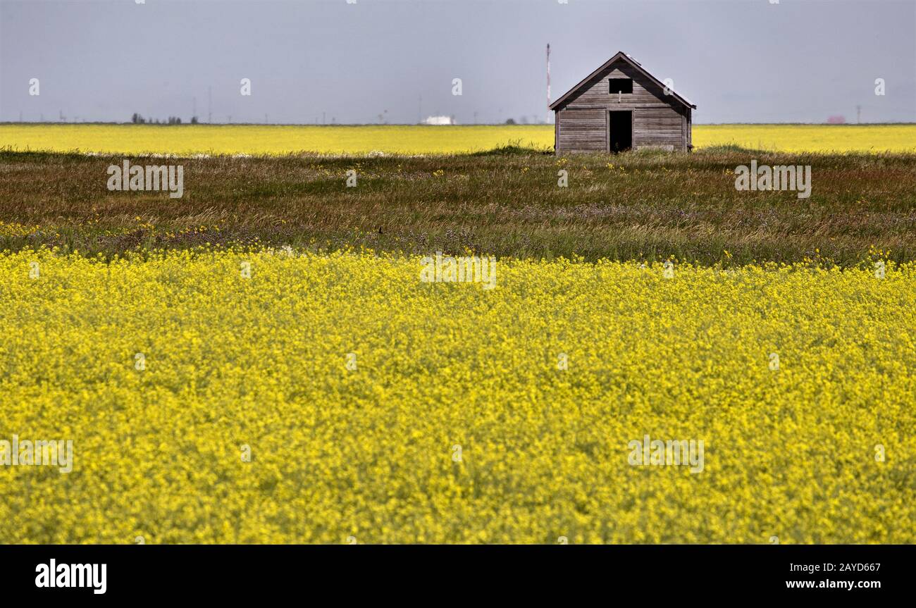 Saskatchewan summer hi-res stock photography and images - Alamy
