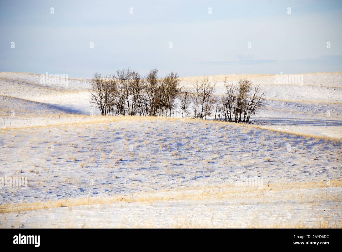 Prairie Landscape in Winter Stock Photo - Alamy