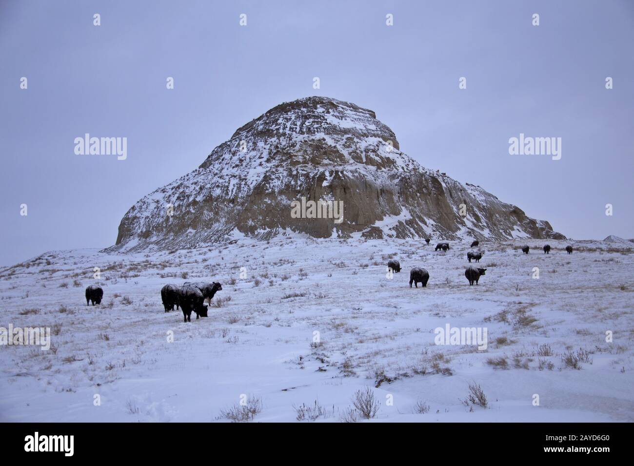 Winter Scene Saskatchewan Badlands Stock Photo - Alamy