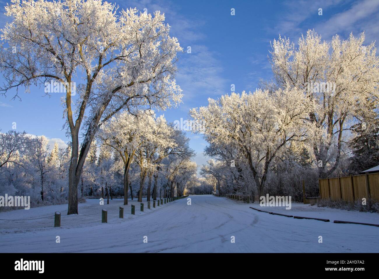 Winter Frost Saskatchewan Stock Photo - Alamy
