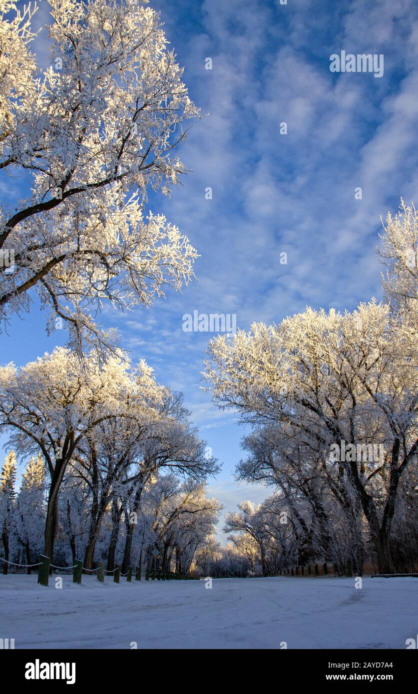 Saskatchewan winter hi-res stock photography and images - Alamy