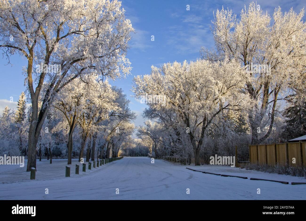 Saskatchewan landscapes hi-res stock photography and images - Alamy