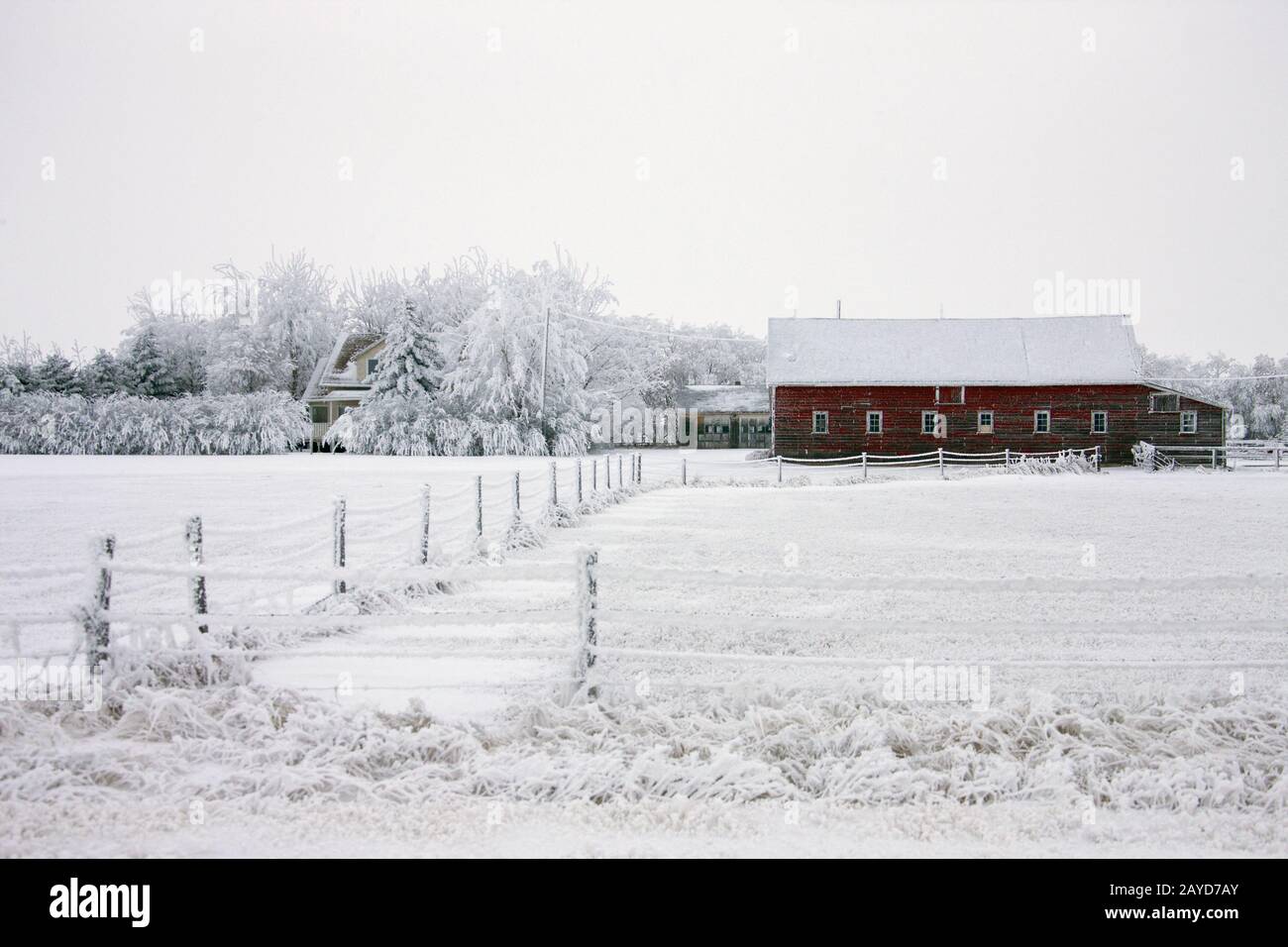 Saskatchewan Winter High Resolution Stock Photography and Images - Alamy