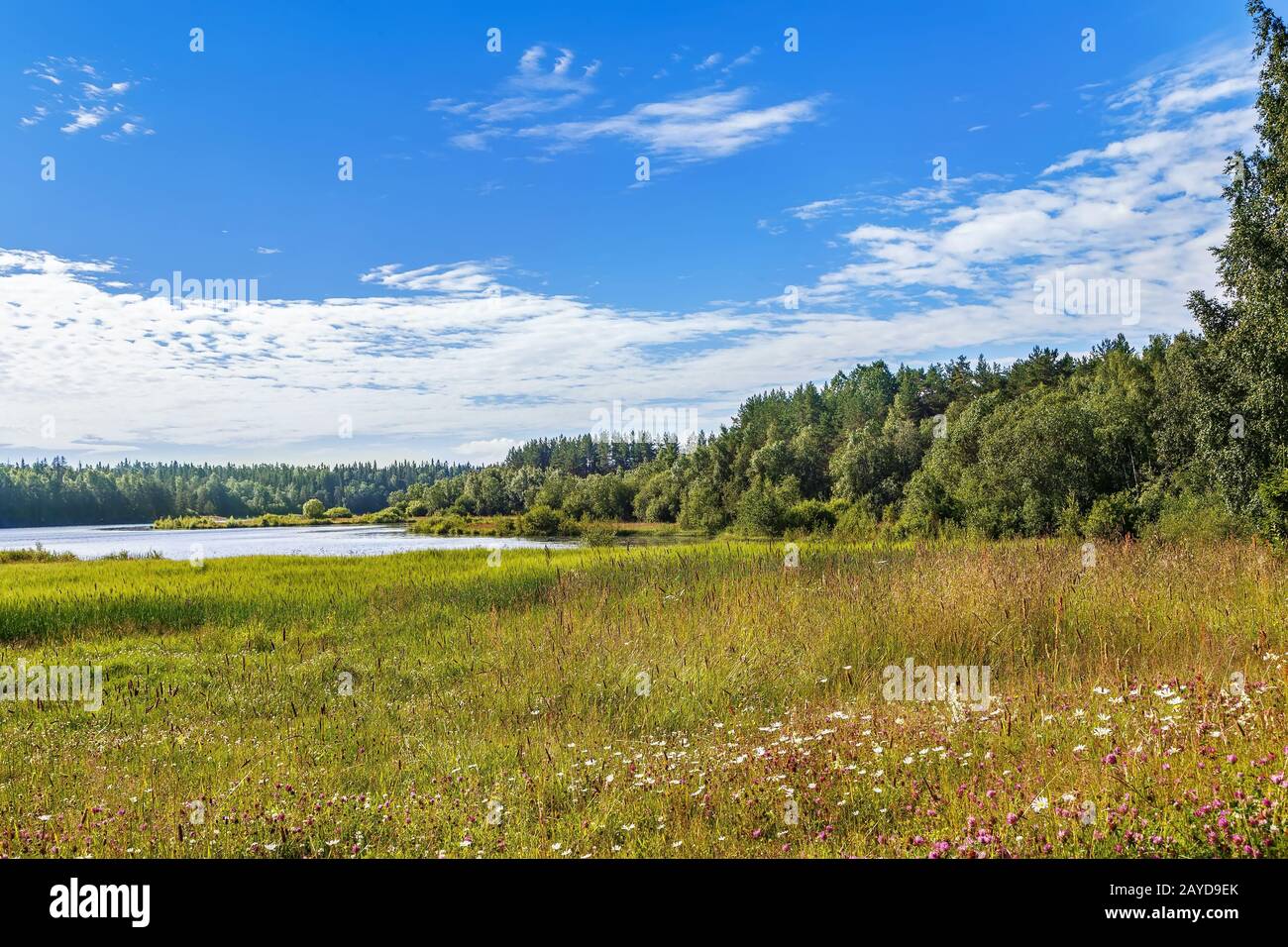Landscape on Valaam Island, Russia Stock Photo - Alamy
