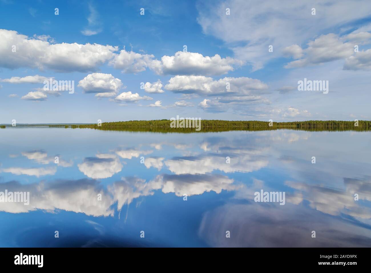 Landscape on the river Vyg, Russiav Stock Photo - Alamy