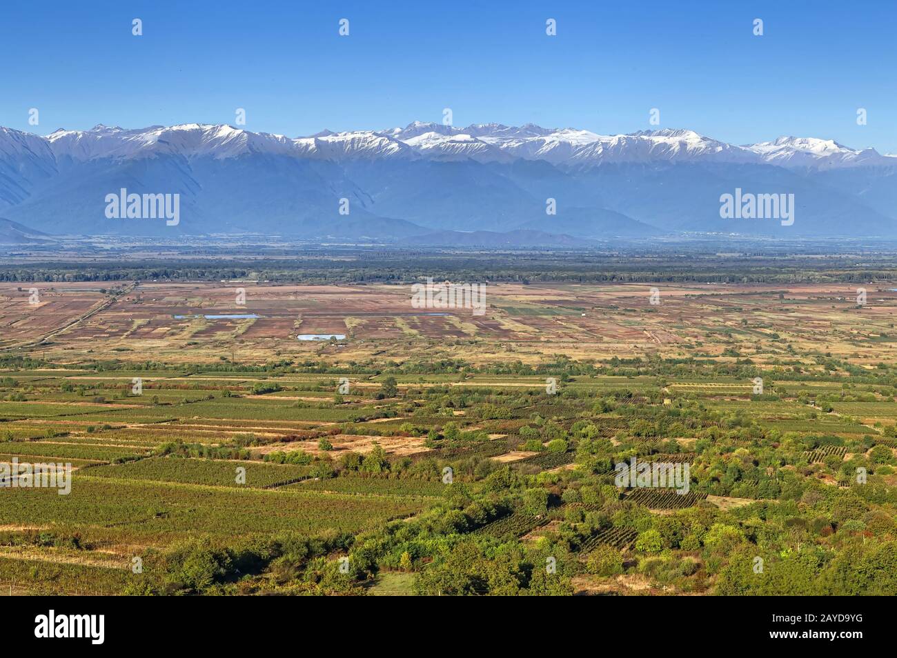 Alazani valley georgia hi-res stock photography and images - Alamy