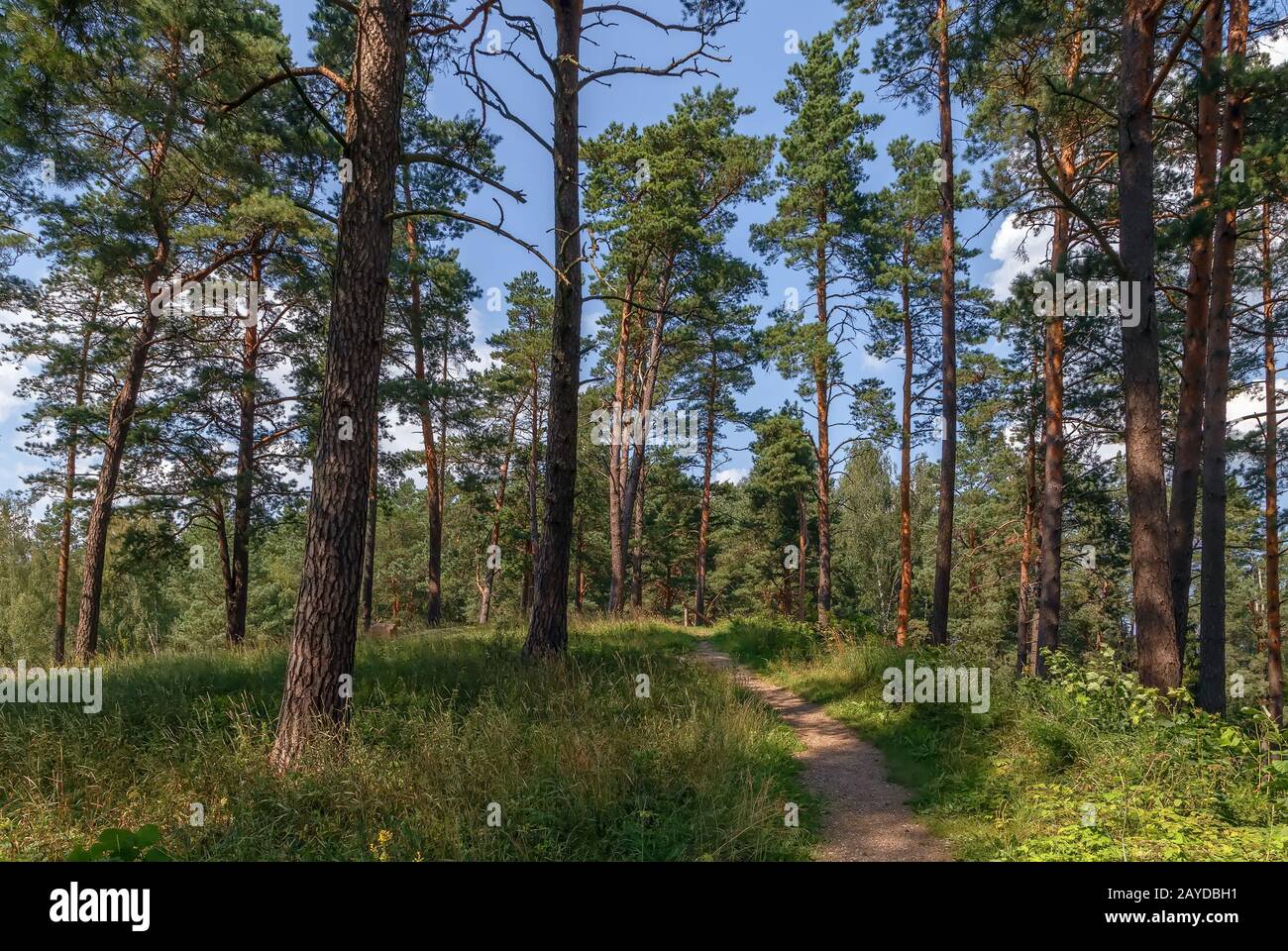 Lithuanian national park hi-res stock photography and images - Alamy