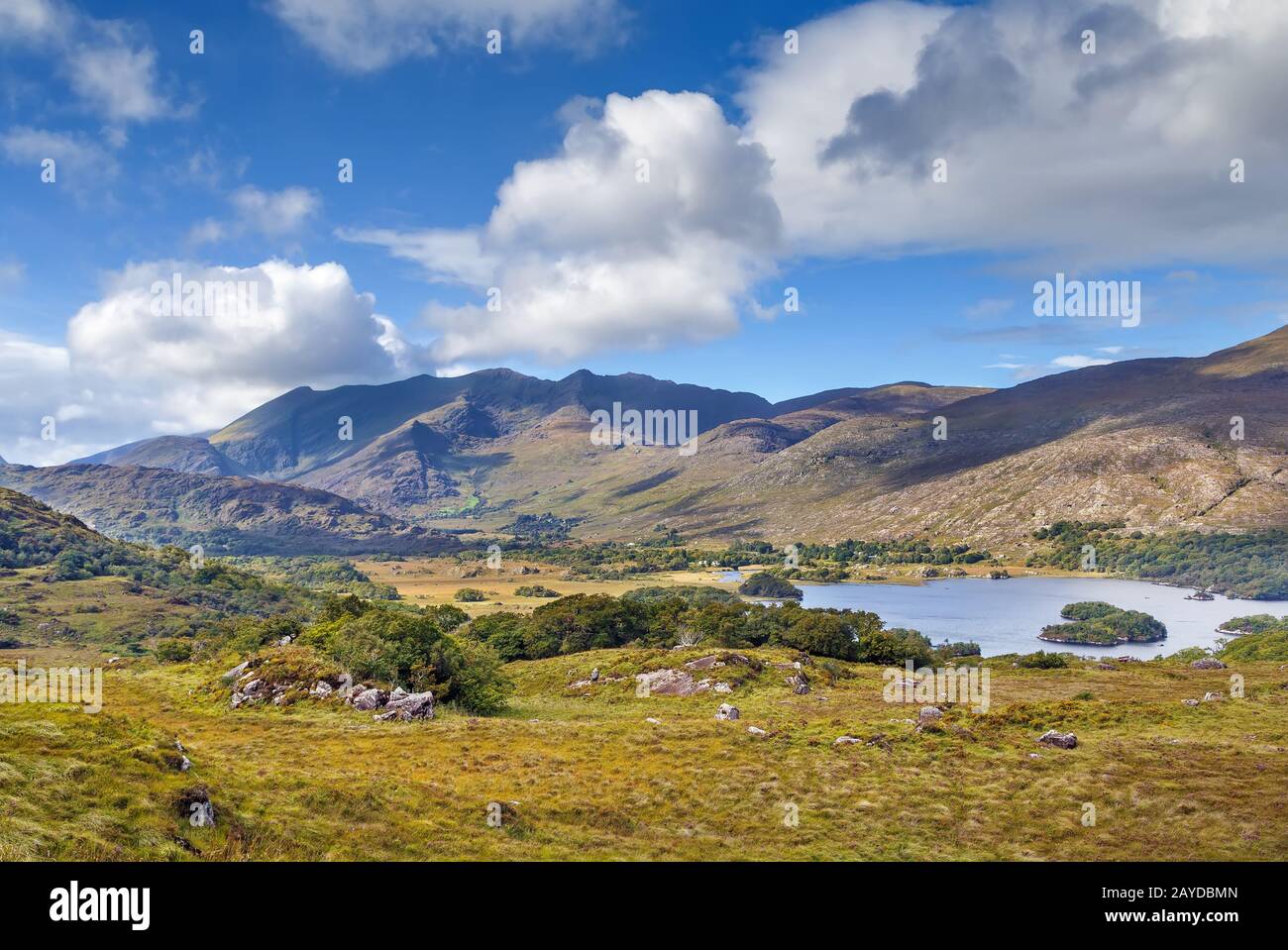 Ladies view hi-res stock photography and images - Alamy