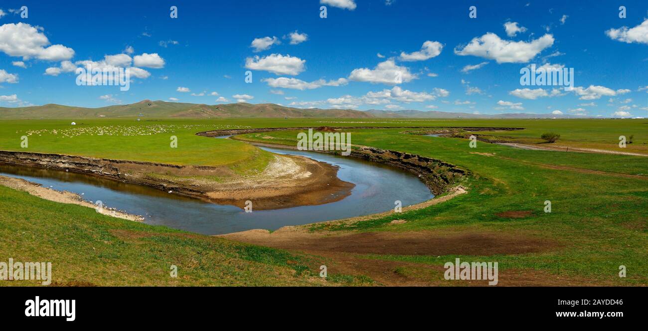 Sheep grazing in the grassland of Mongolia Stock Photo - Alamy
