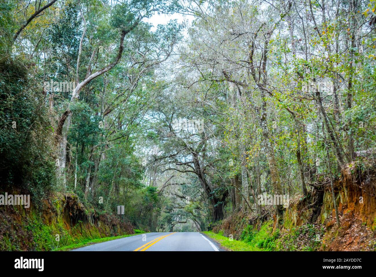 Florida scenic nature hi-res stock photography and images - Alamy