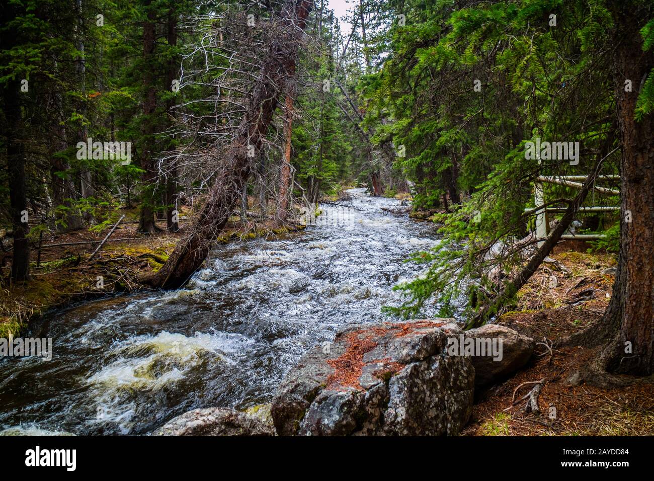 A narrow stream of water in Buffalo, Wyoming Stock Photo - Alamy