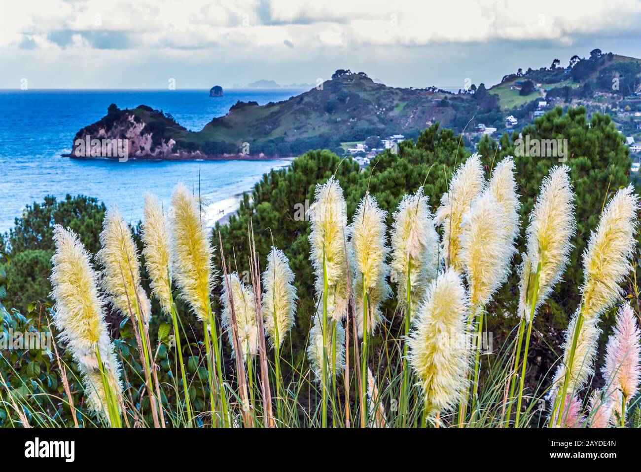 Shore ocean scene hi-res stock photography and images - Alamy