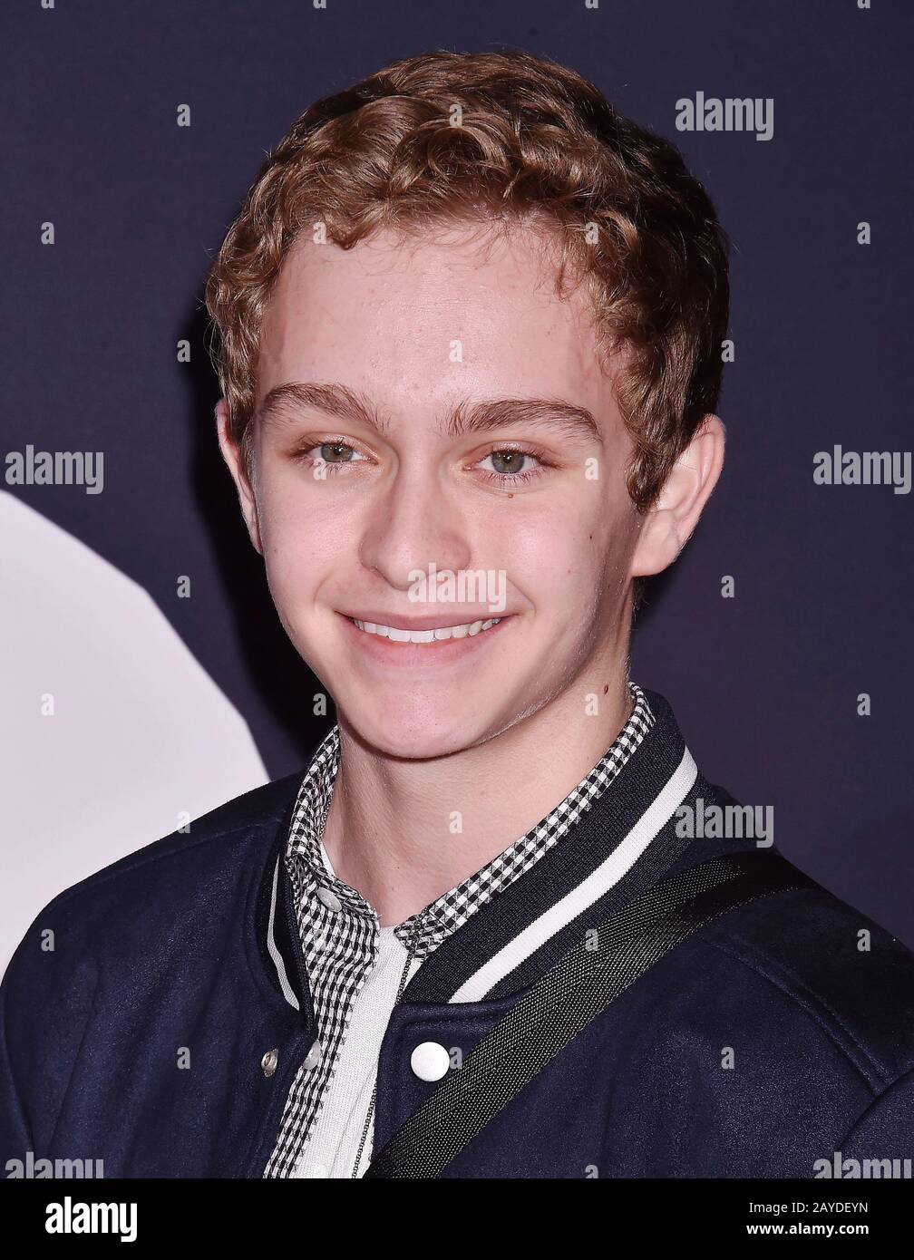 HOLLYWOOD, CA - FEBRUARY 13: Gavin Lewis attends the Premiere of 20th ...